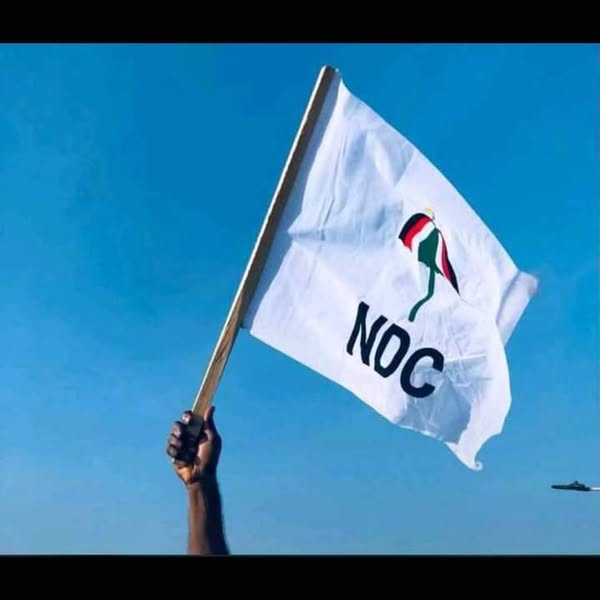 Ashanti NDC members protest return of former DVLA regional director ...